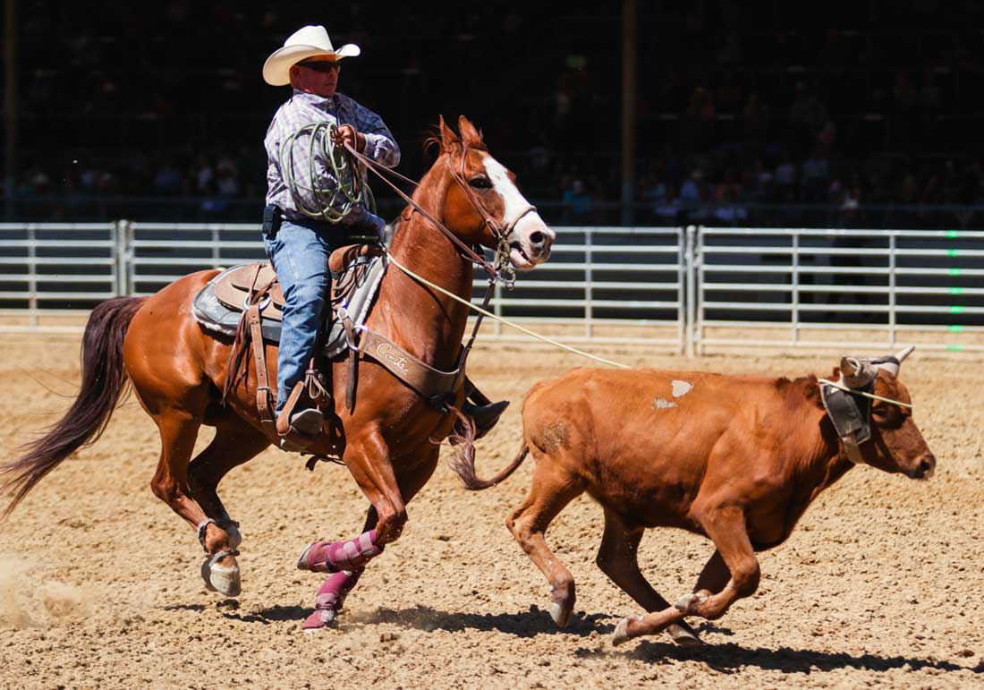 Photos: Action at the rodeo - SanBenito.com | Hollister, San Juan ...
