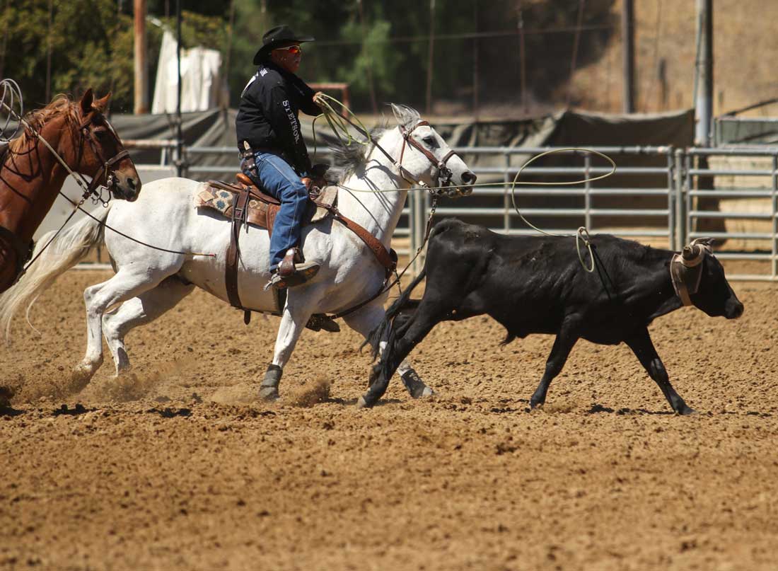 Photos: Action at the rodeo - SanBenito.com | Hollister, San Juan ...
