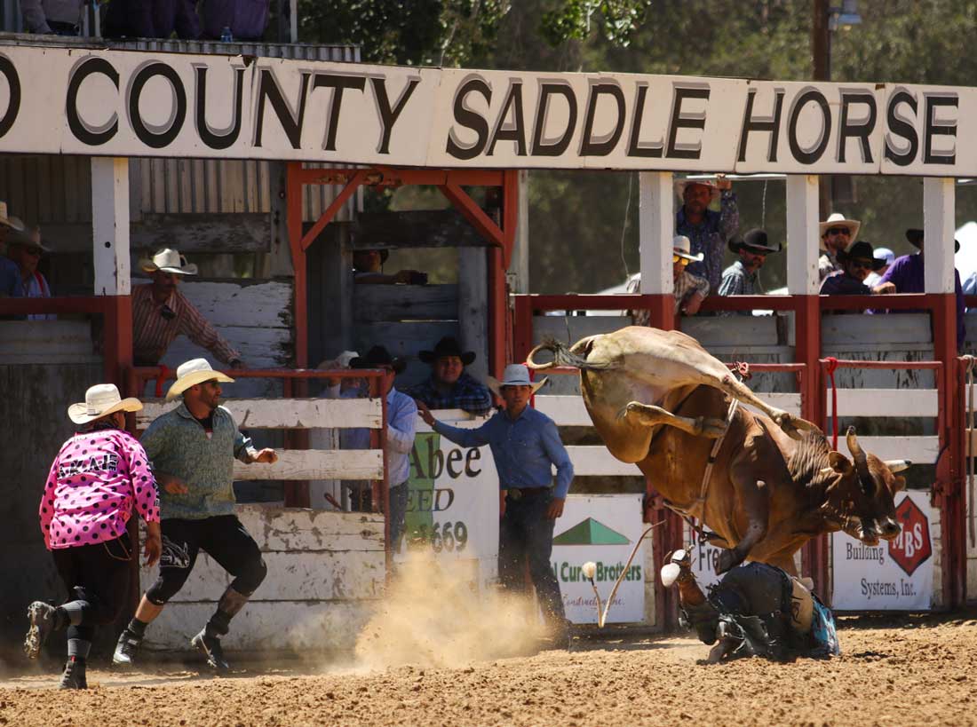 Photos: Action at the rodeo - SanBenito.com | Hollister, San Juan ...