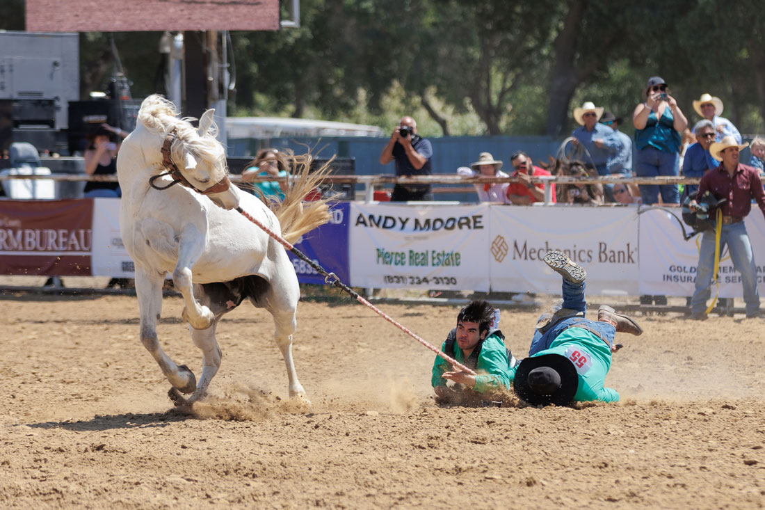 Record crowds attend 2023 rodeo - SanBenito.com | Hollister, San Juan ...