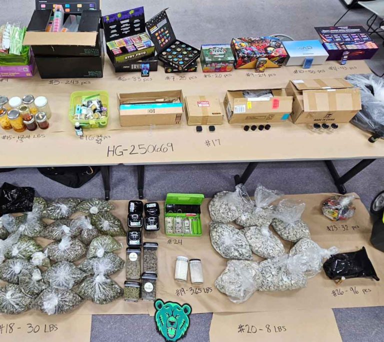 Hollister traffic stop leads to arrest for controlled substances ...