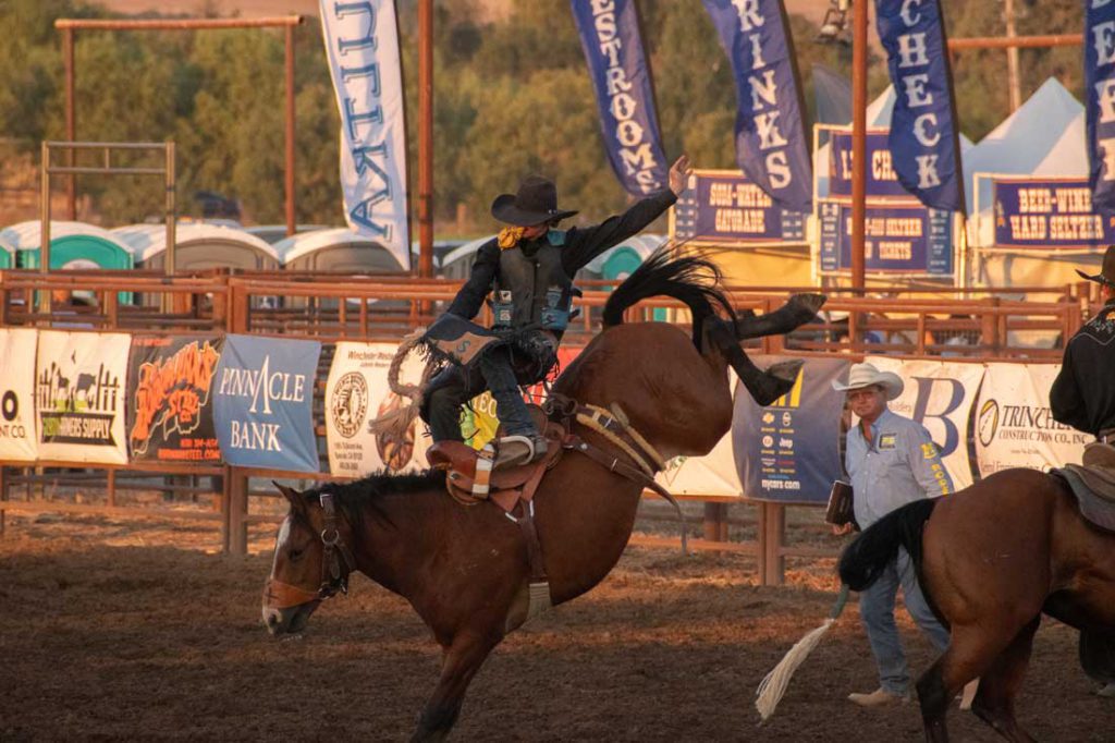 Gilroy Rodeo horse death sparks concerns, questions - SanBenito.com ...